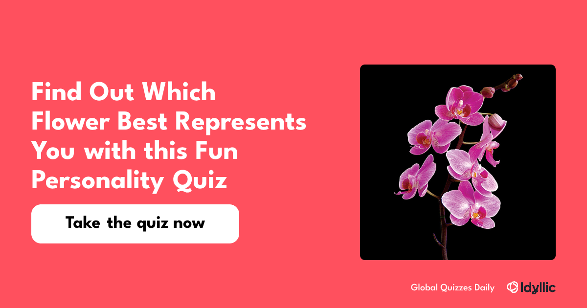 Find Out Which Flower Best Represents You with this Fun Personality Quiz