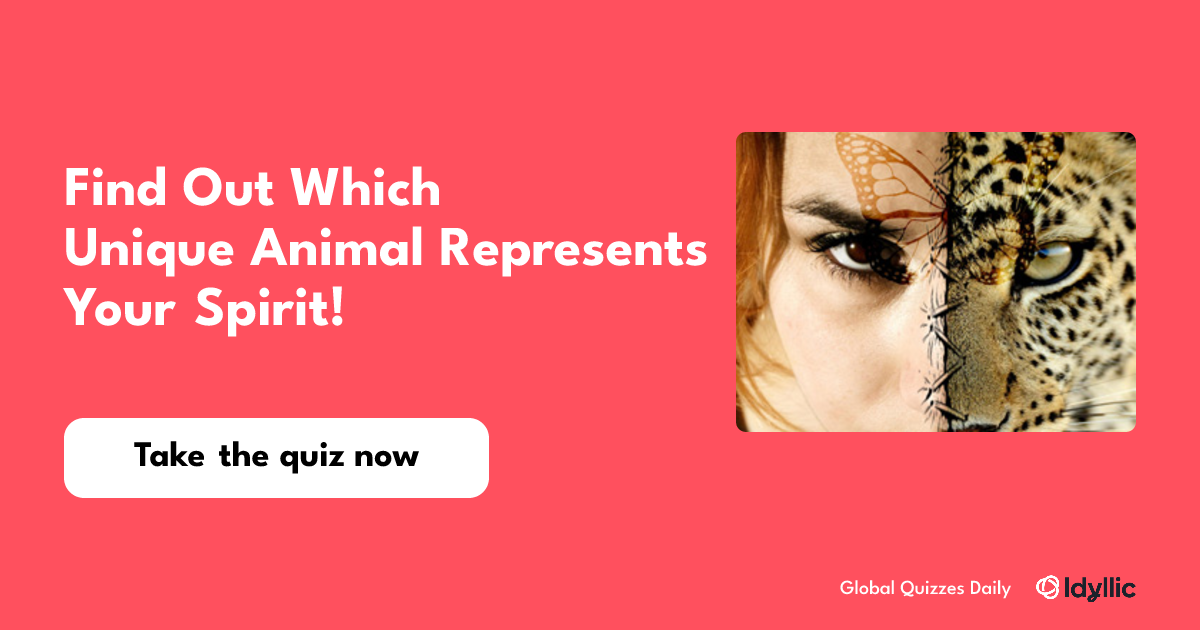 Find Out Which Unique Animal Represents Your Spirit!