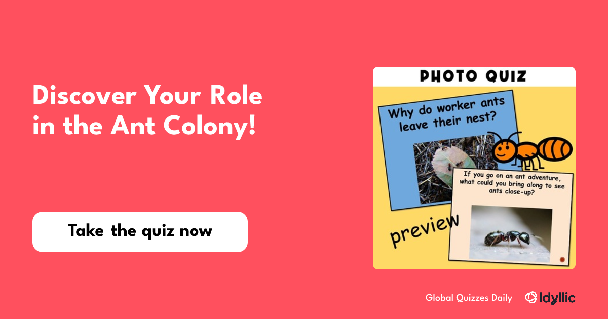 Discover Your Role in the Ant Colony!