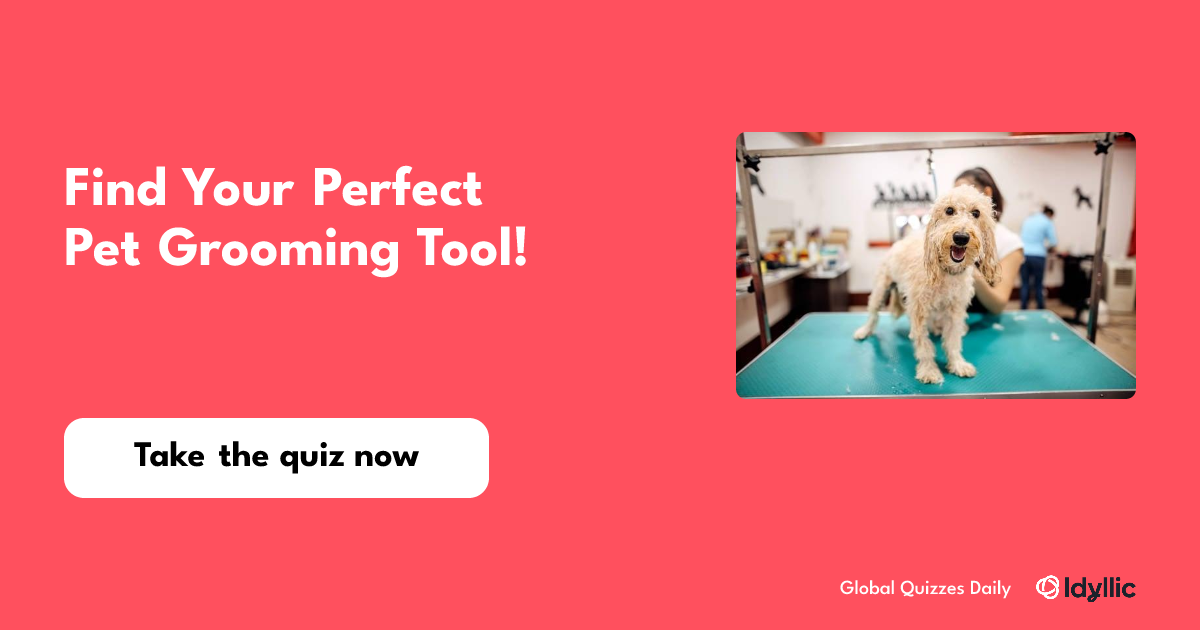 Find Your Perfect Pet Grooming Tool!