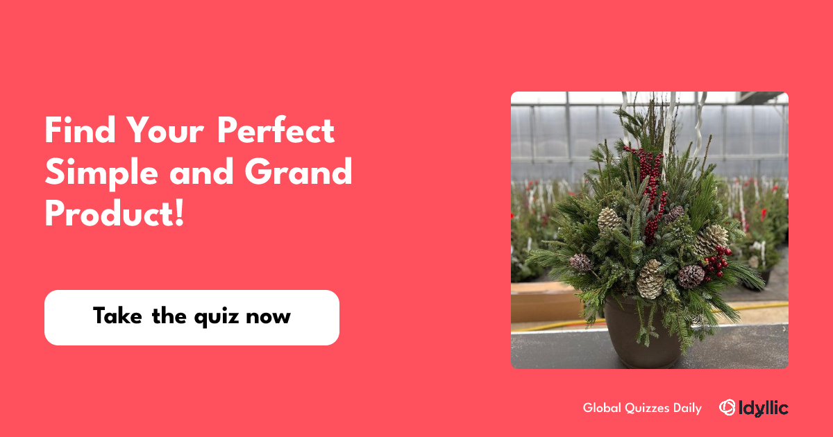 Find Your Perfect Simple and Grand Product!
