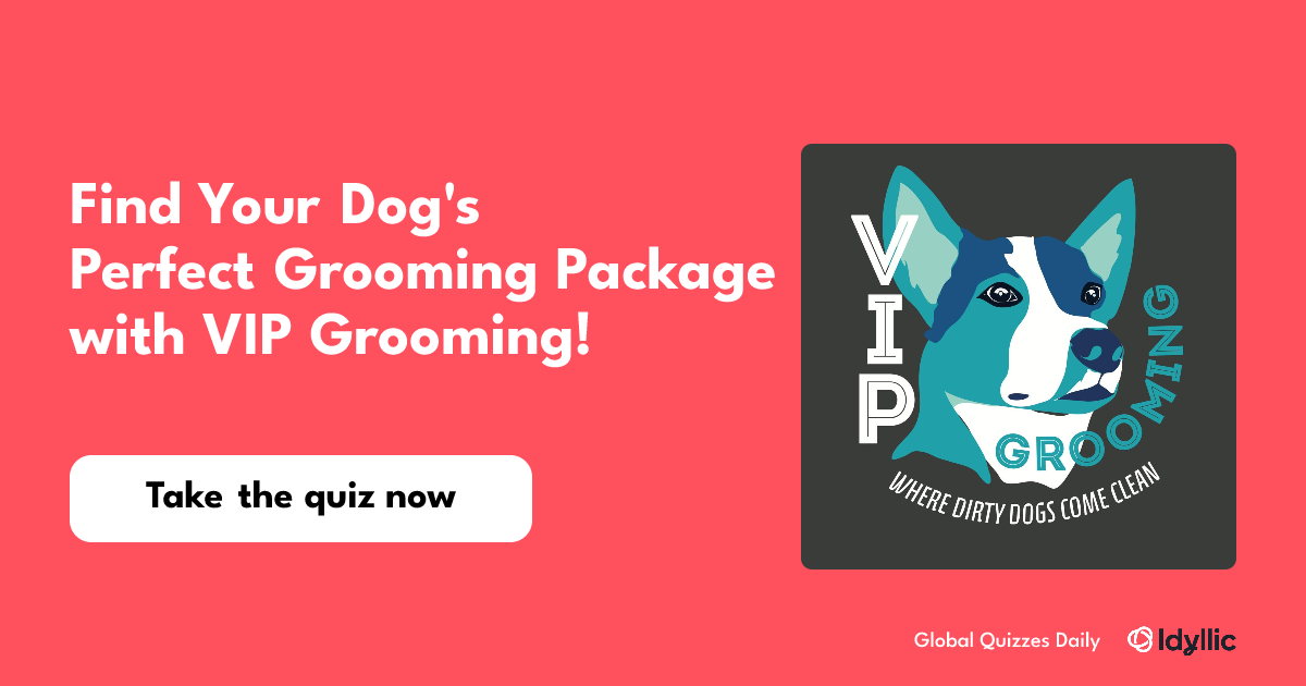 Find Your Dog's Perfect Grooming Package with VIP Grooming!