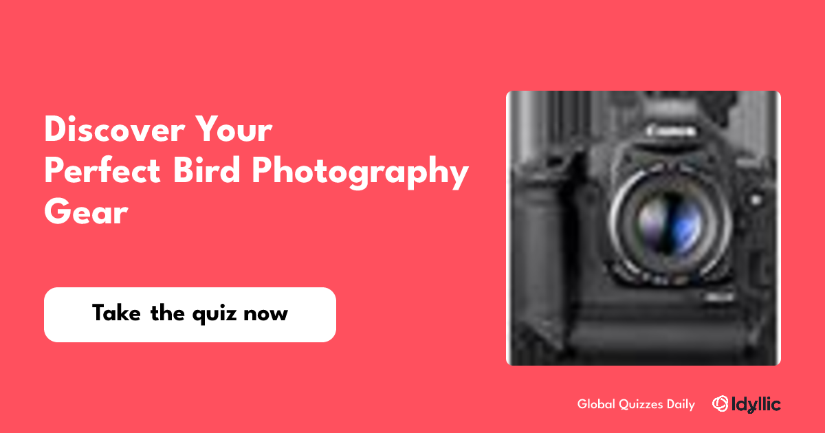 Discover Your Perfect Bird Photography Gear