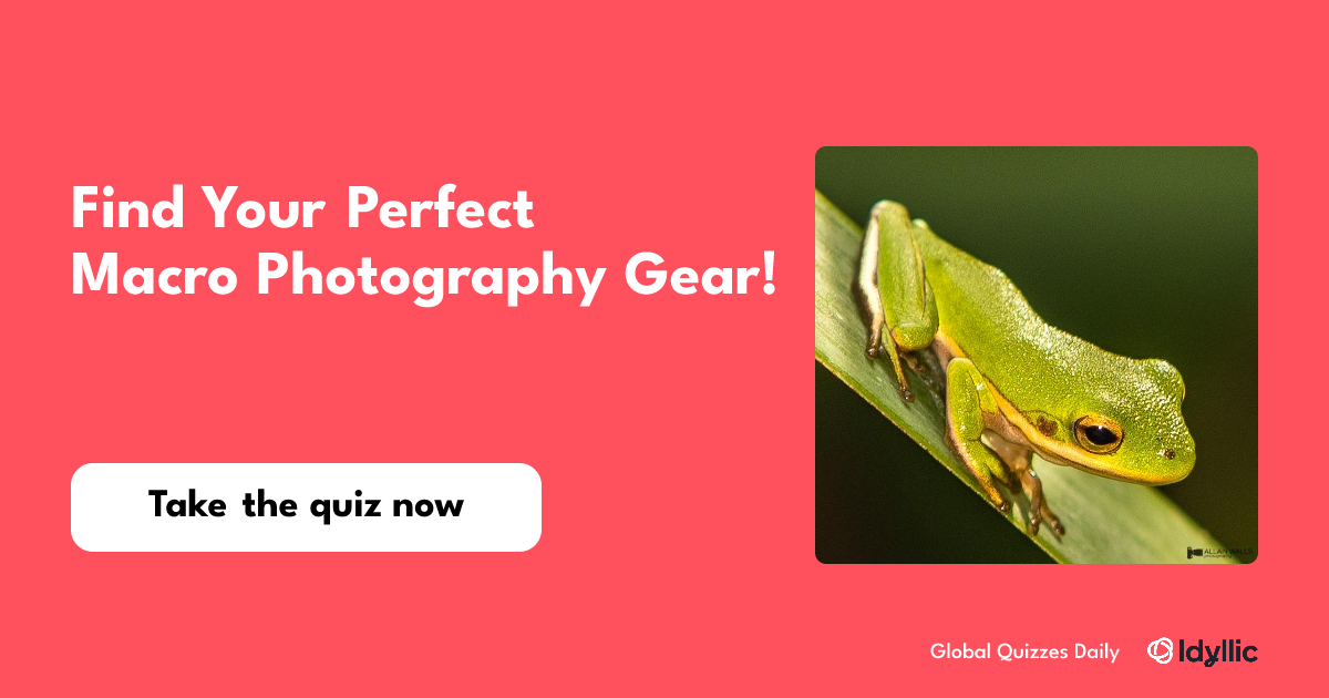 Find Your Perfect Macro Photography Gear!