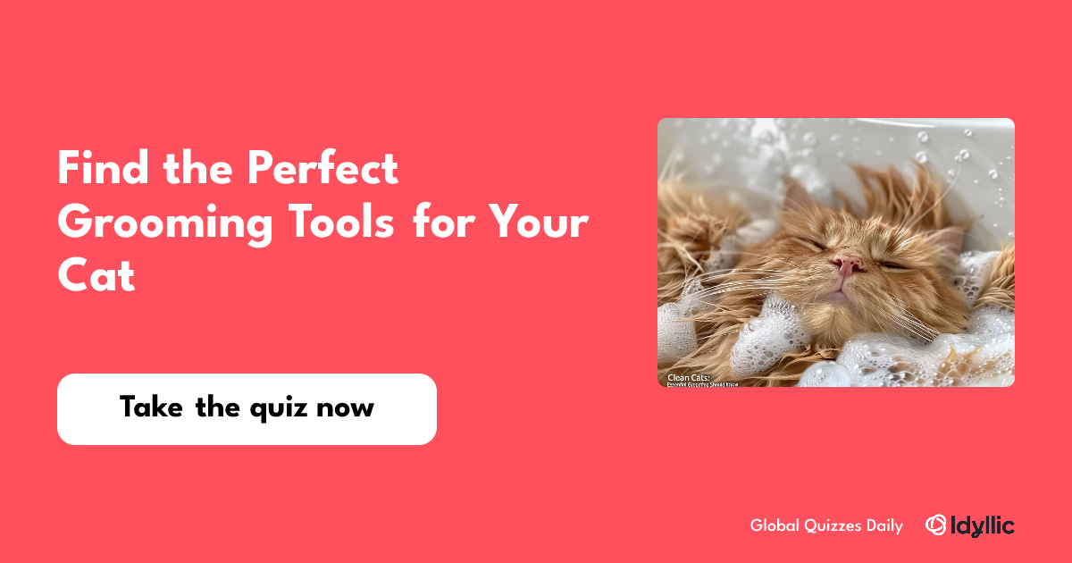 Find the Perfect Grooming Tools for Your Cat