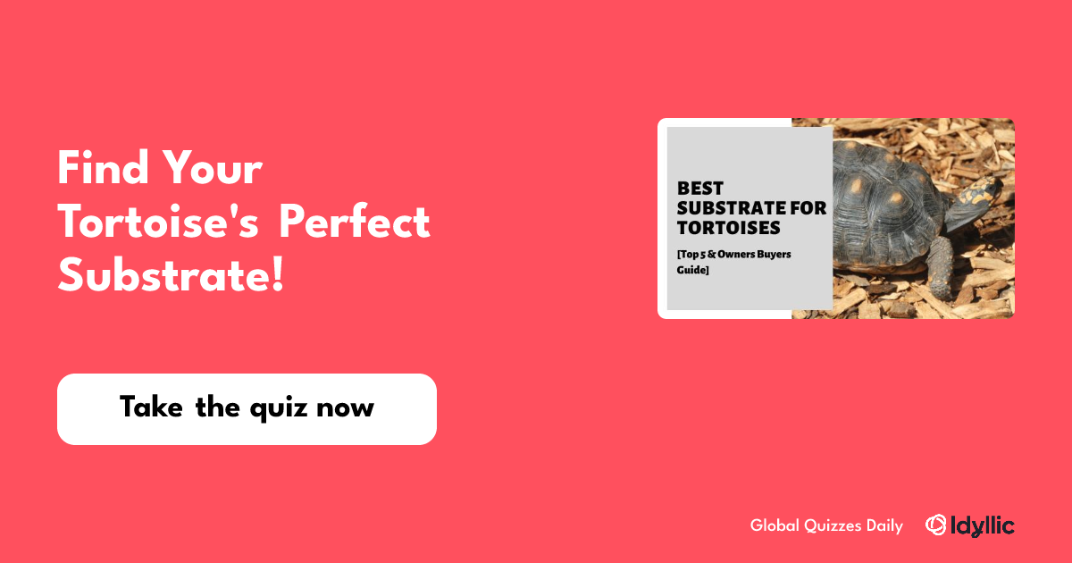 Find Your Tortoise's Perfect Substrate!