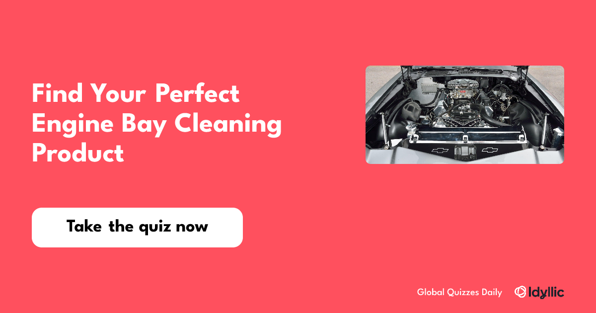 Find Your Perfect Engine Bay Cleaning Product