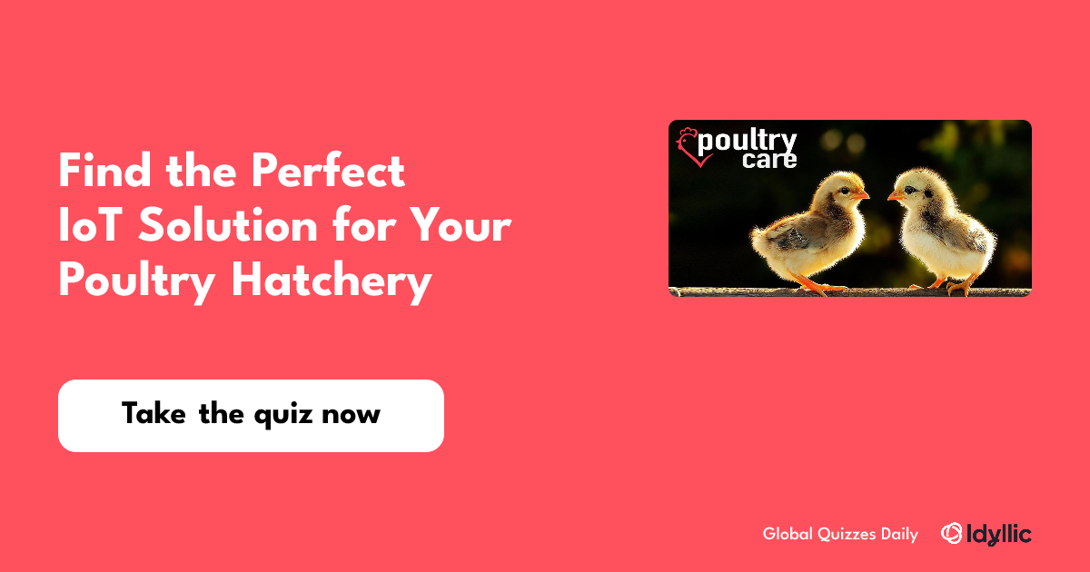Find the Perfect IoT Solution for Your Poultry Hatchery