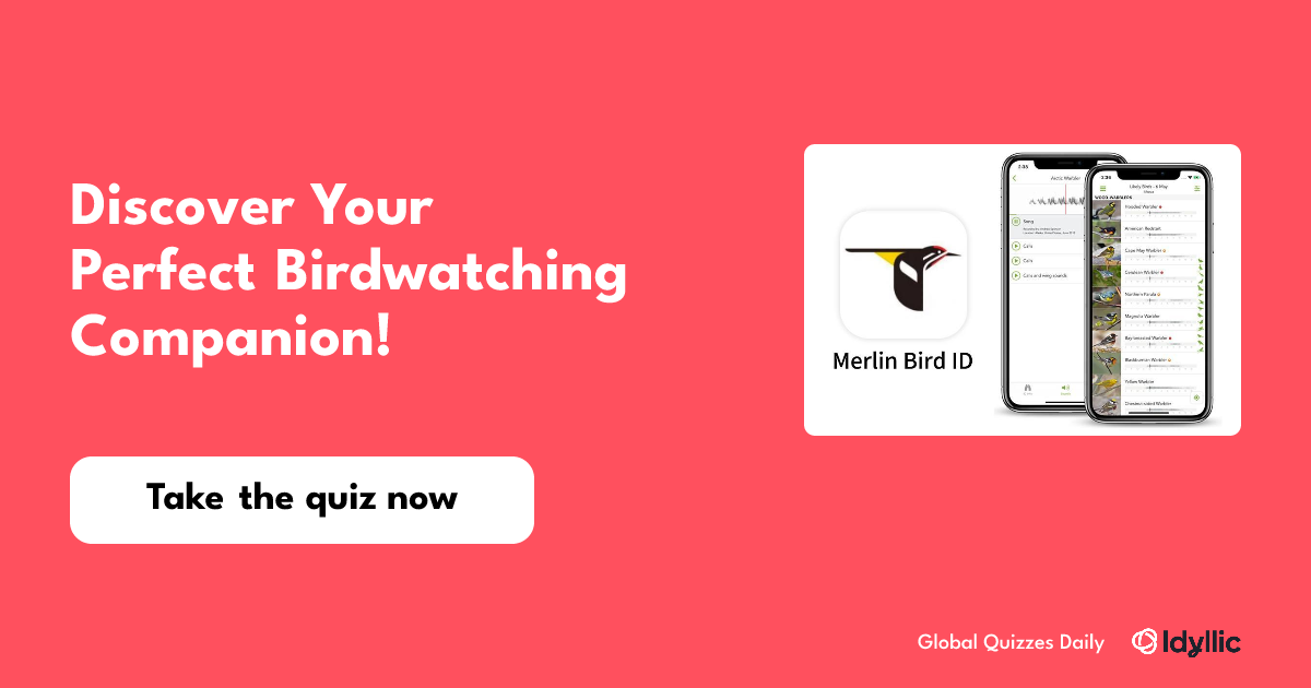 Discover Your Perfect Birdwatching Companion!