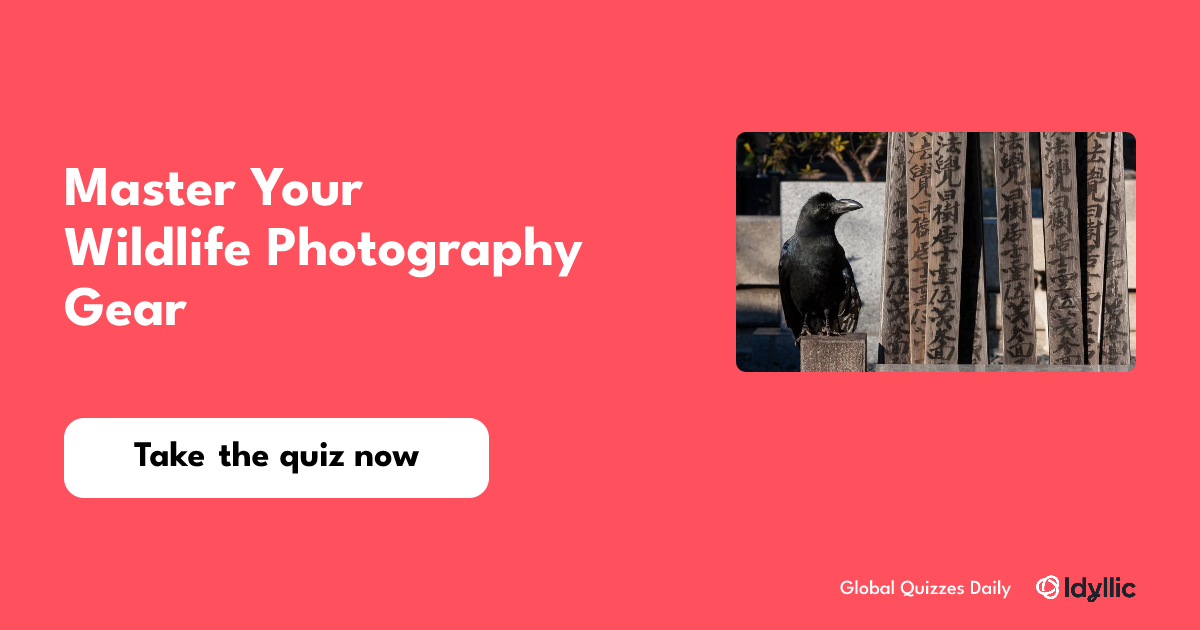 Master Your Wildlife Photography Gear