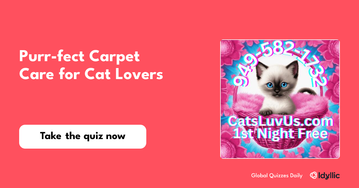 Purr-fect Carpet Care for Cat Lovers