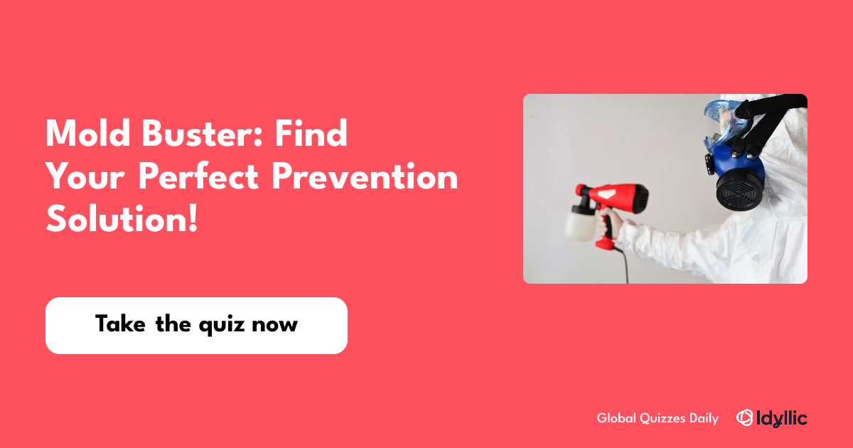 Mold Buster: Find Your Perfect Prevention Solution!