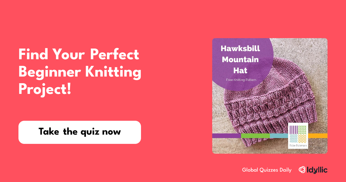 Find Your Perfect Beginner Knitting Project!