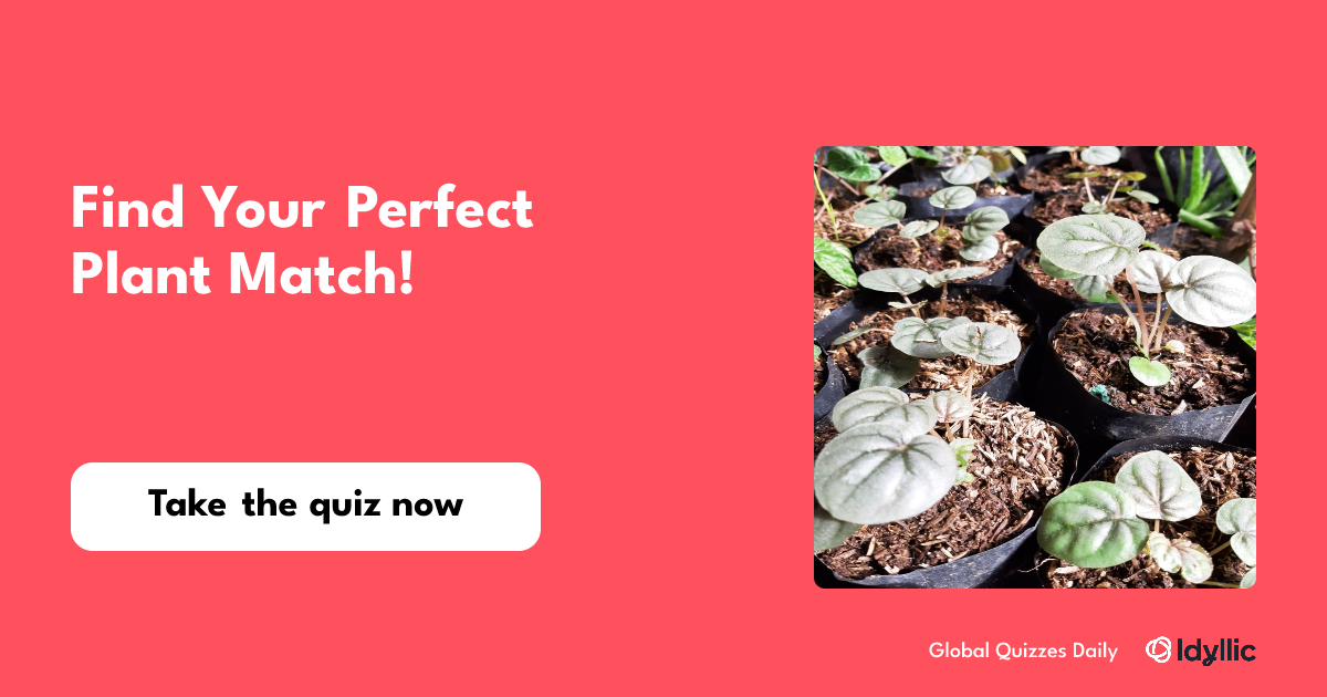 Find Your Perfect Plant Match!
