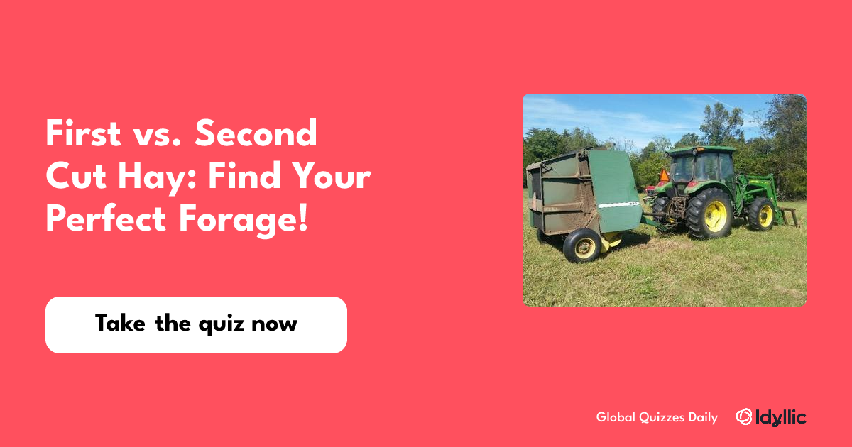 First vs. Second Cut Hay: Find Your Perfect Forage!