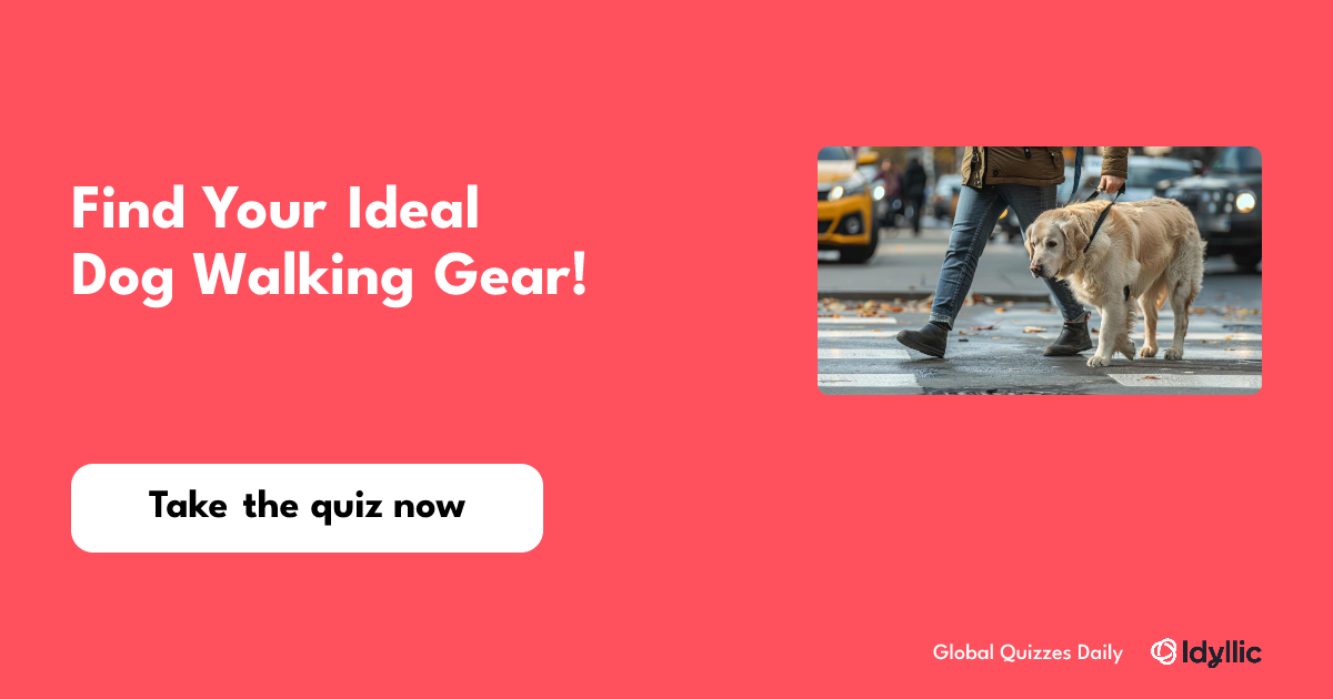 Find Your Ideal Dog Walking Gear!