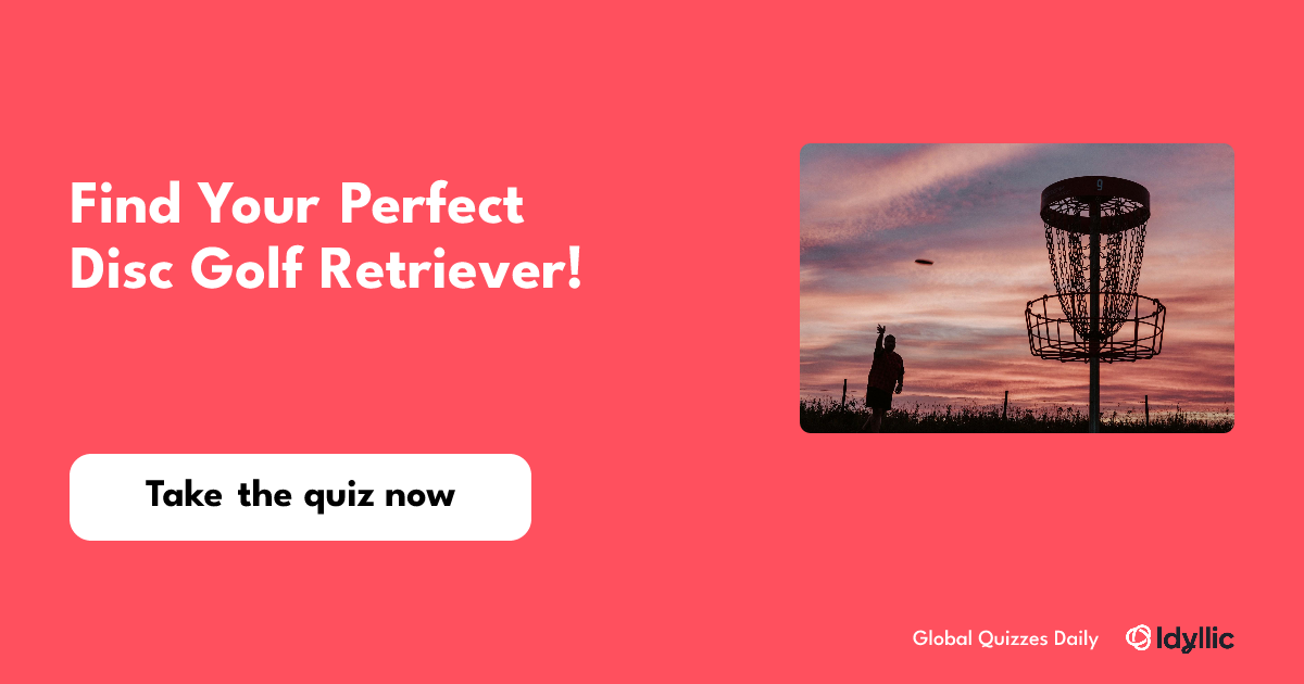 Find Your Perfect Disc Golf Retriever!