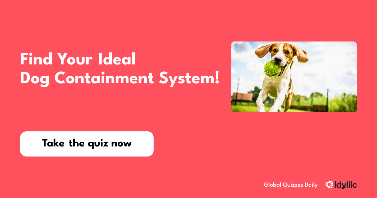 Find Your Ideal Dog Containment System!