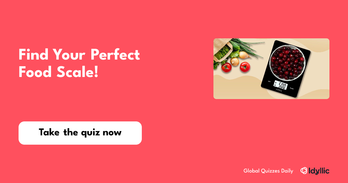 Find Your Perfect Food Scale!