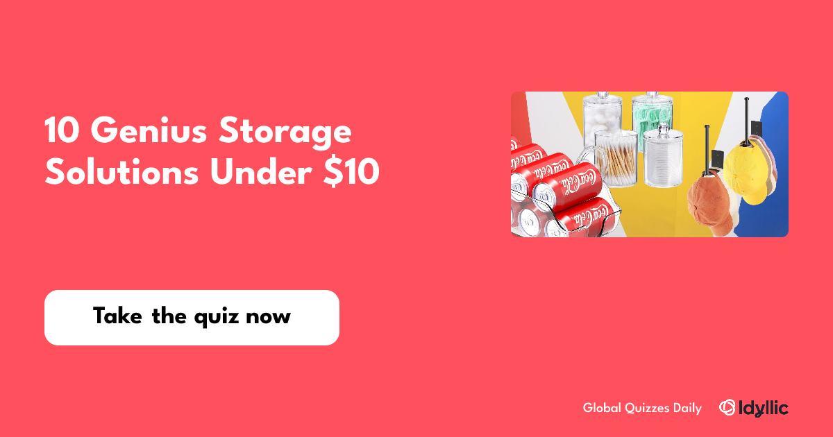 10 Genius Storage Solutions Under $10