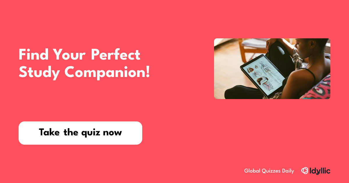Find Your Perfect Study Companion!