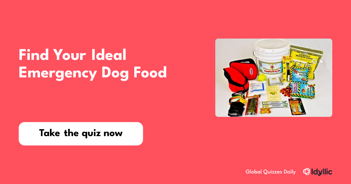 Find Your Ideal Emergency Dog Food