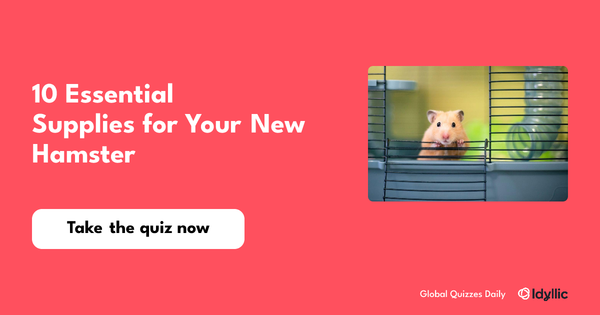 10 Essential Supplies for Your New Hamster