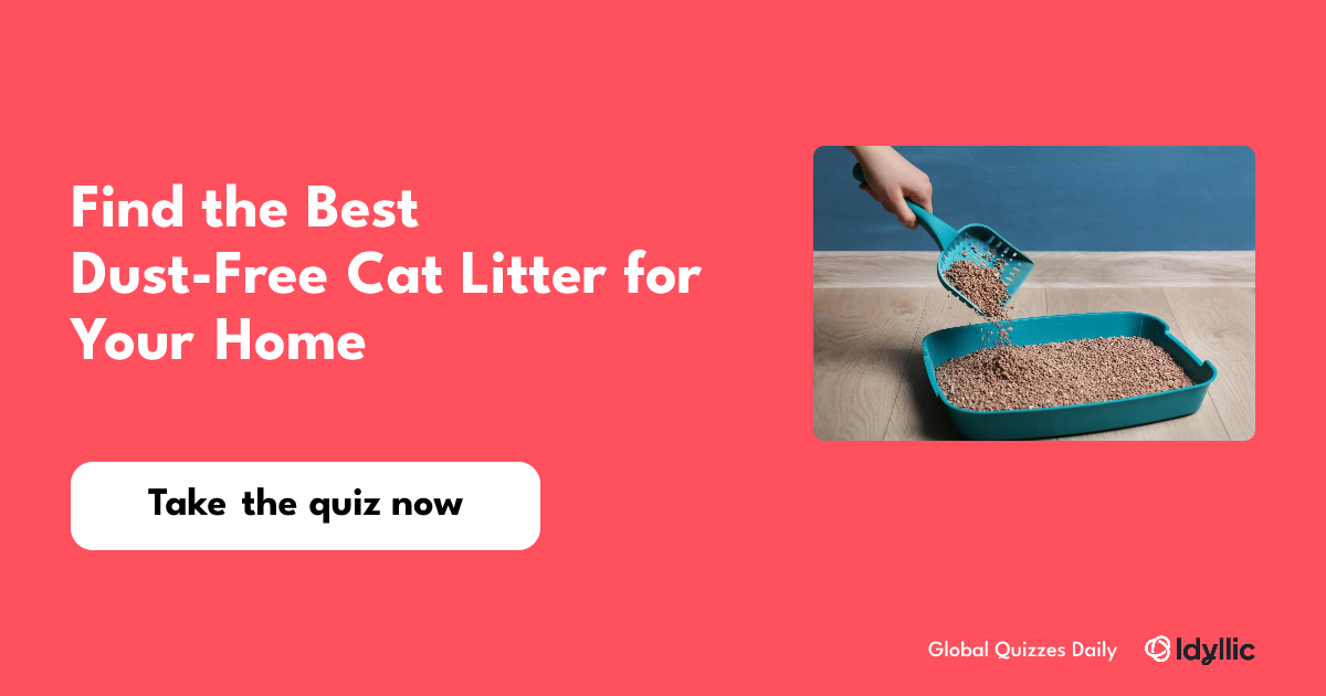 Find the Best Dust-Free Cat Litter for Your Home