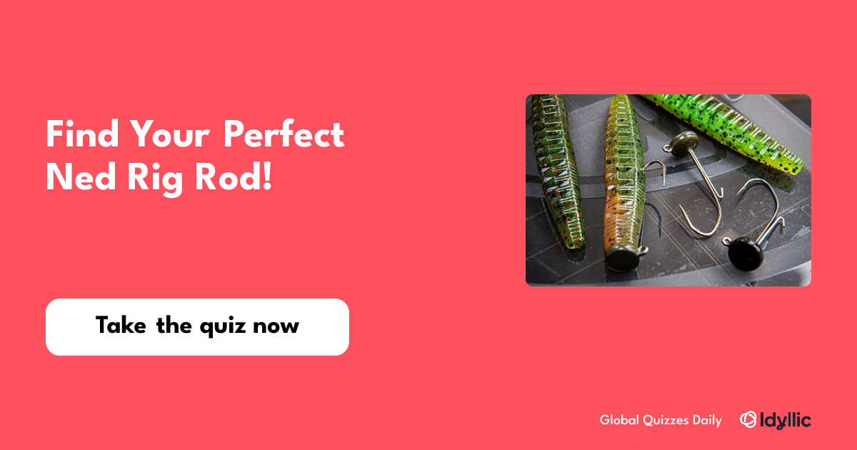 Find Your Perfect Ned Rig Rod!