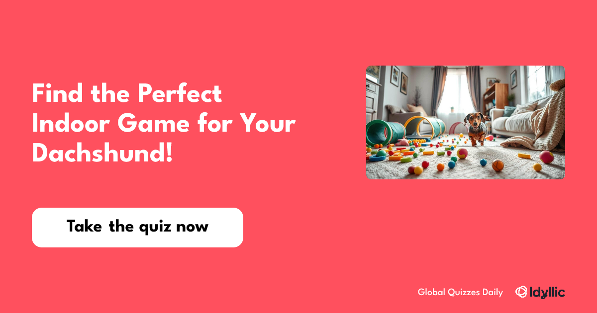 Find the Perfect Indoor Game for Your Dachshund!