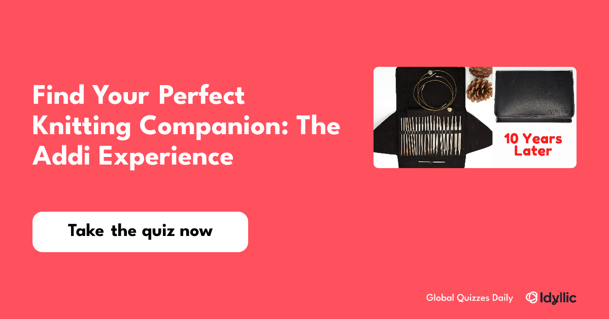 Find Your Perfect Knitting Companion: The Addi Experience