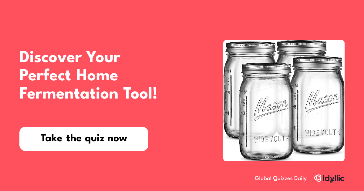 Discover Your Perfect Home Fermentation Tool!