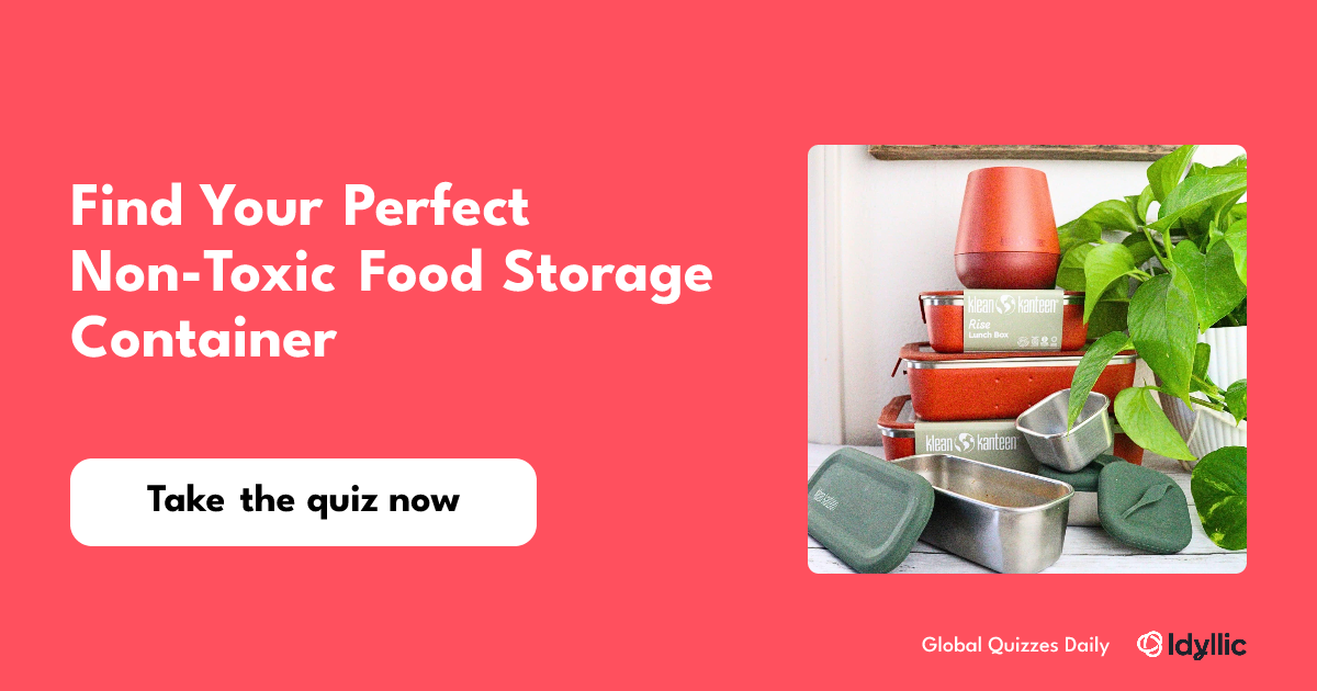 Find Your Perfect Non-Toxic Food Storage Container
