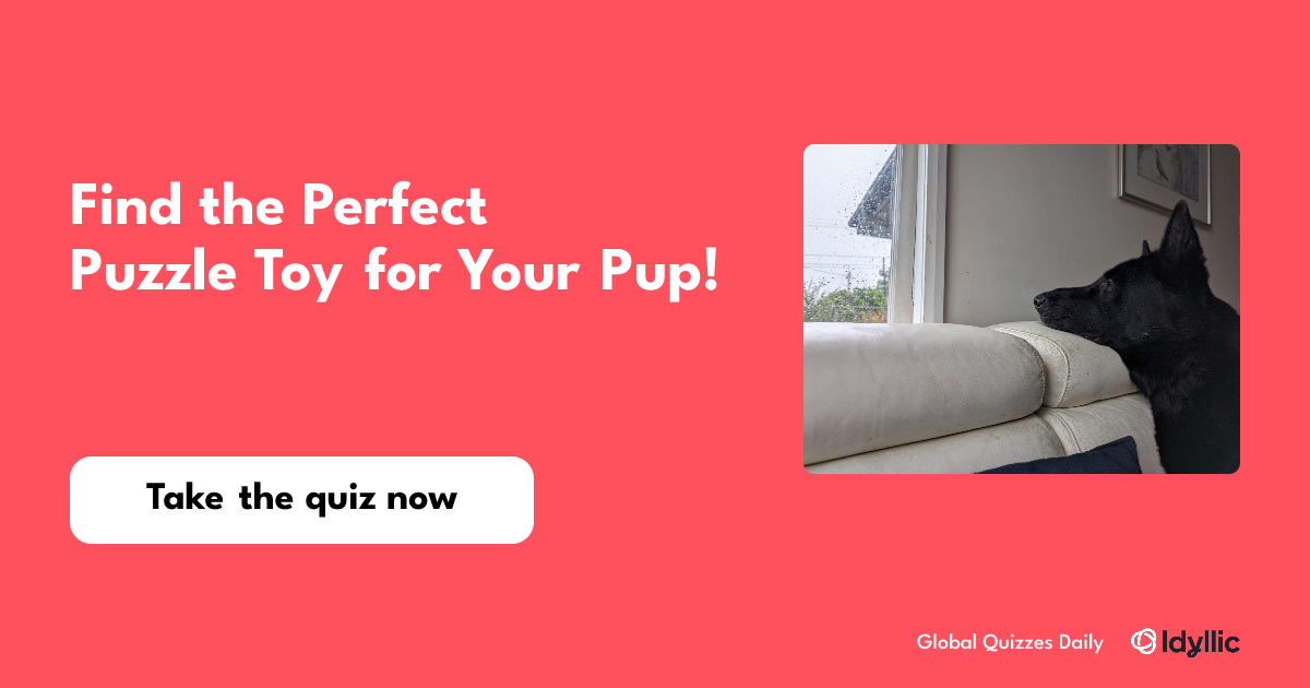 Find the Perfect Puzzle Toy for Your Pup!