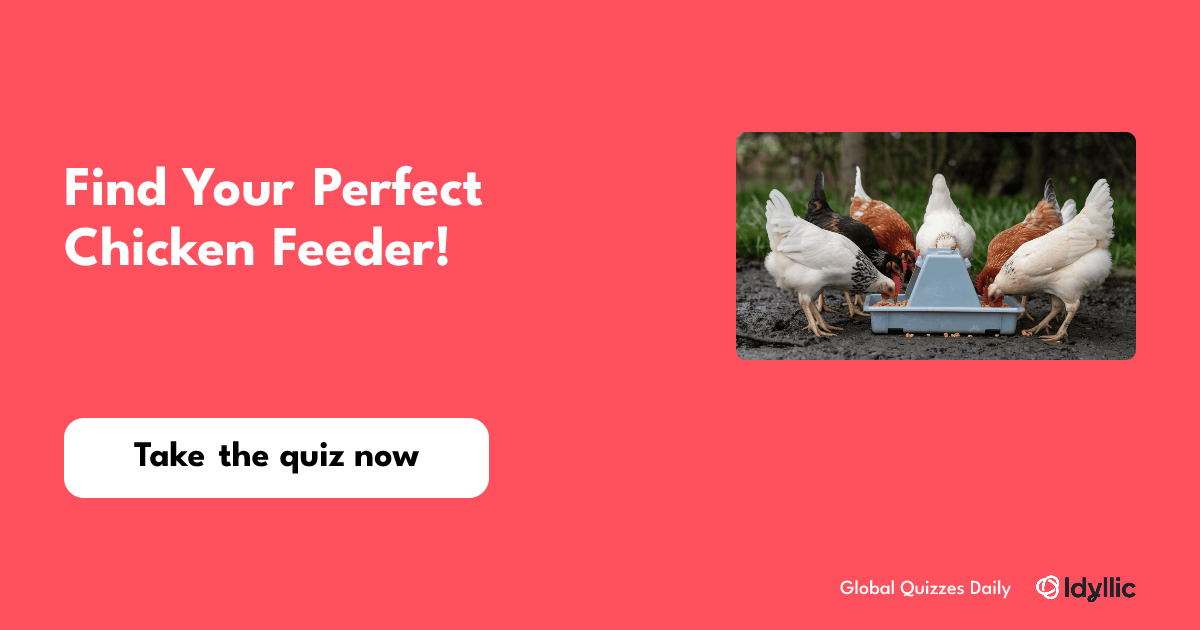 Find Your Perfect Chicken Feeder!