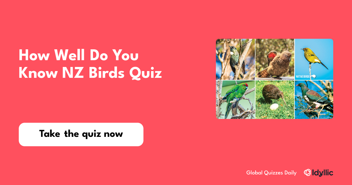 How Well Do You Know NZ Birds Quiz