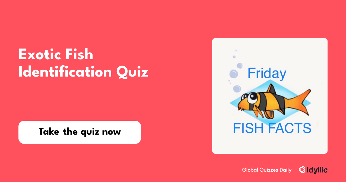 Exotic Fish Identification Quiz