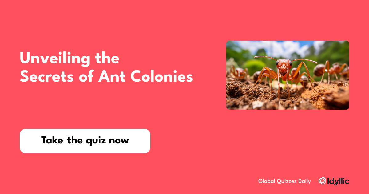 Unveiling the Secrets of Ant Colonies