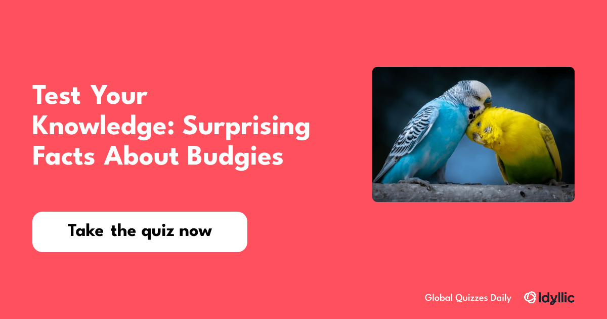 Test Your Knowledge: Surprising Facts About Budgies