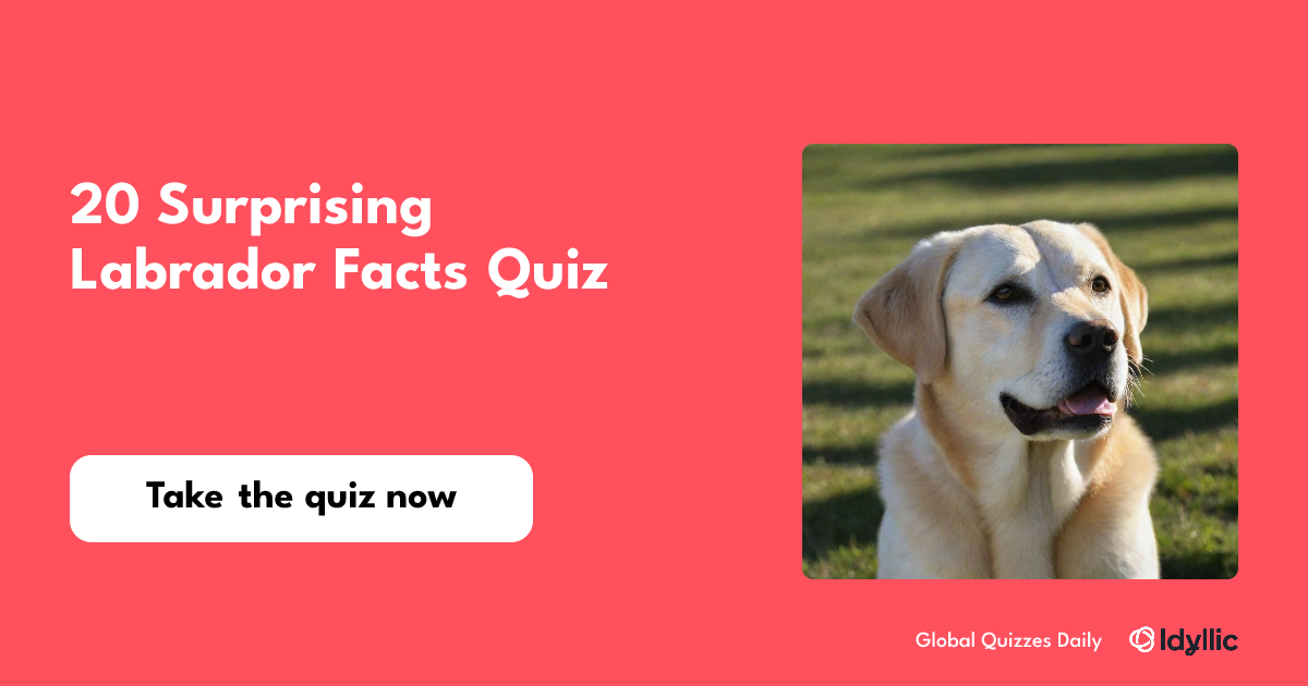 20 Surprising Labrador Facts Quiz