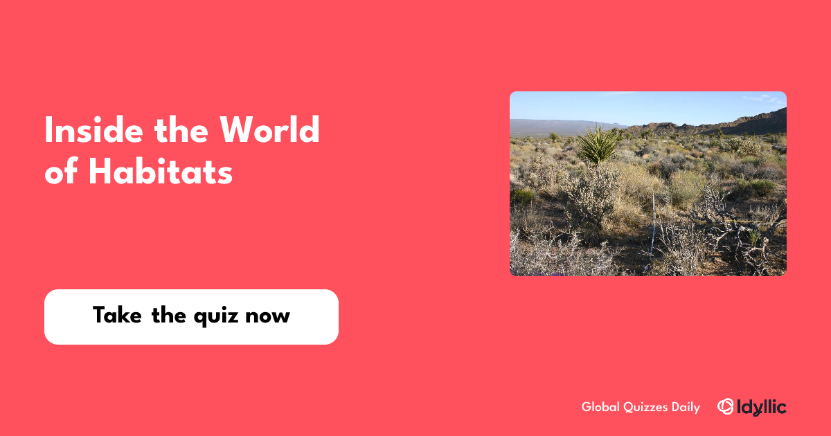 Inside the World of Habitats